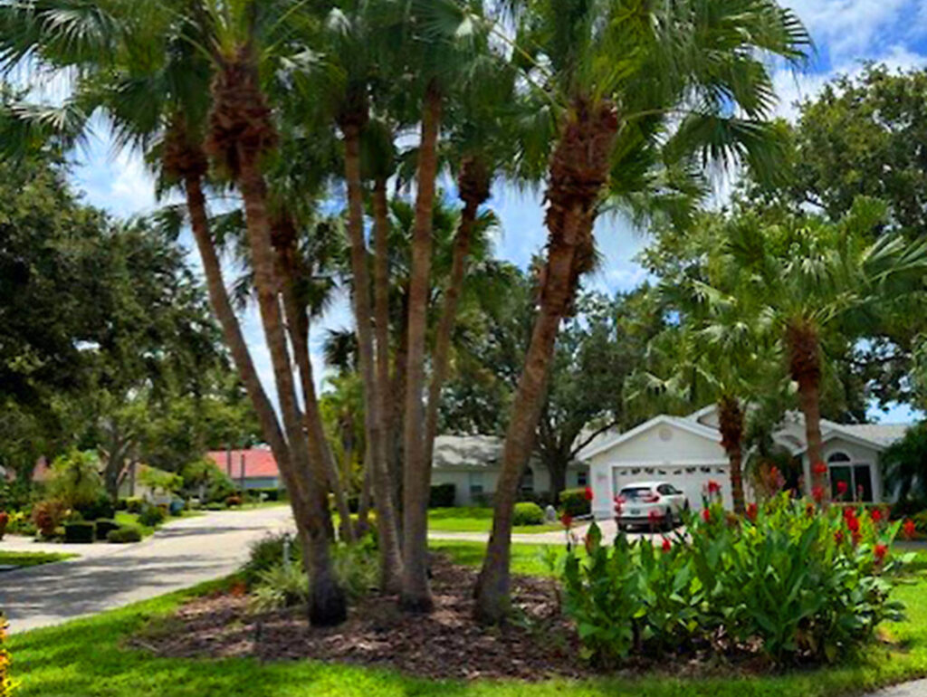 Pinehurst Estates Condo – COA