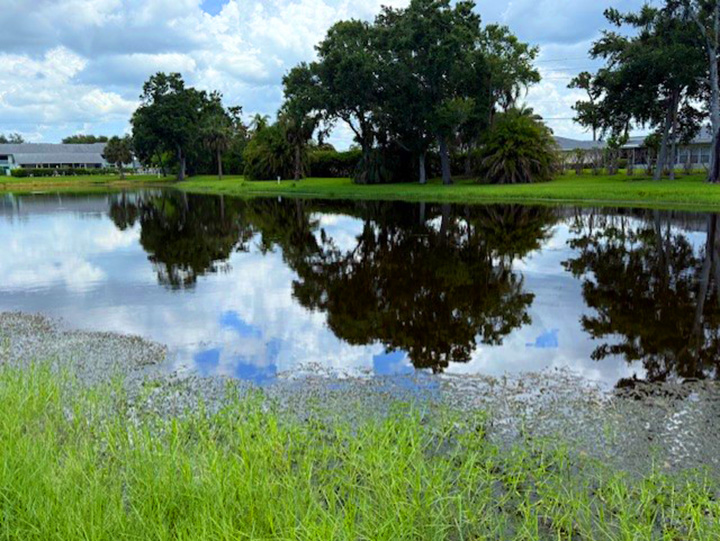 Pinehurst Estates Condo – COA